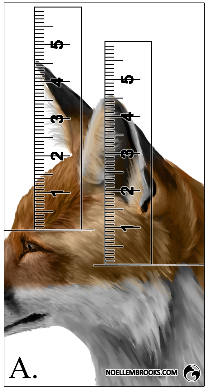 Chapter III: Methodology – Noelle M. Brooks