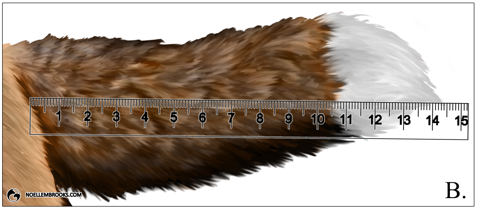 Chapter III: Methodology – Noelle M. Brooks