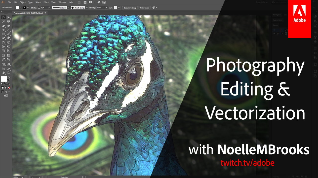 Adobe – Thumbnail – Photography Editing & Vectorization – Noelle M. Brooks