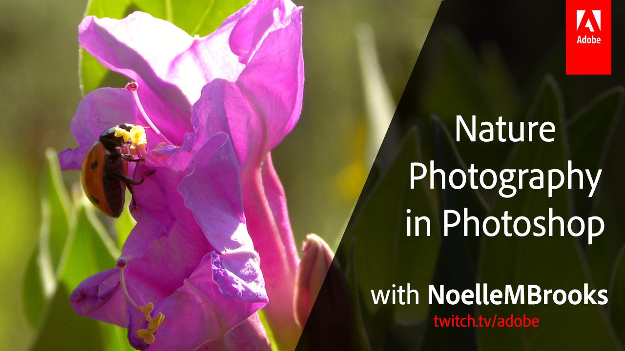 Adobe – Thumbnail – Nature Photography in Photoshop – Noelle M. Brooks